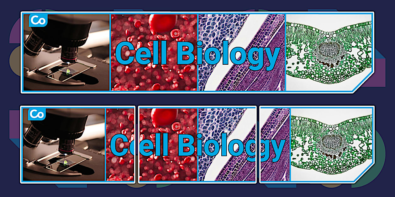 Cell Biology Display Banner (teacher made) - Twinkl
