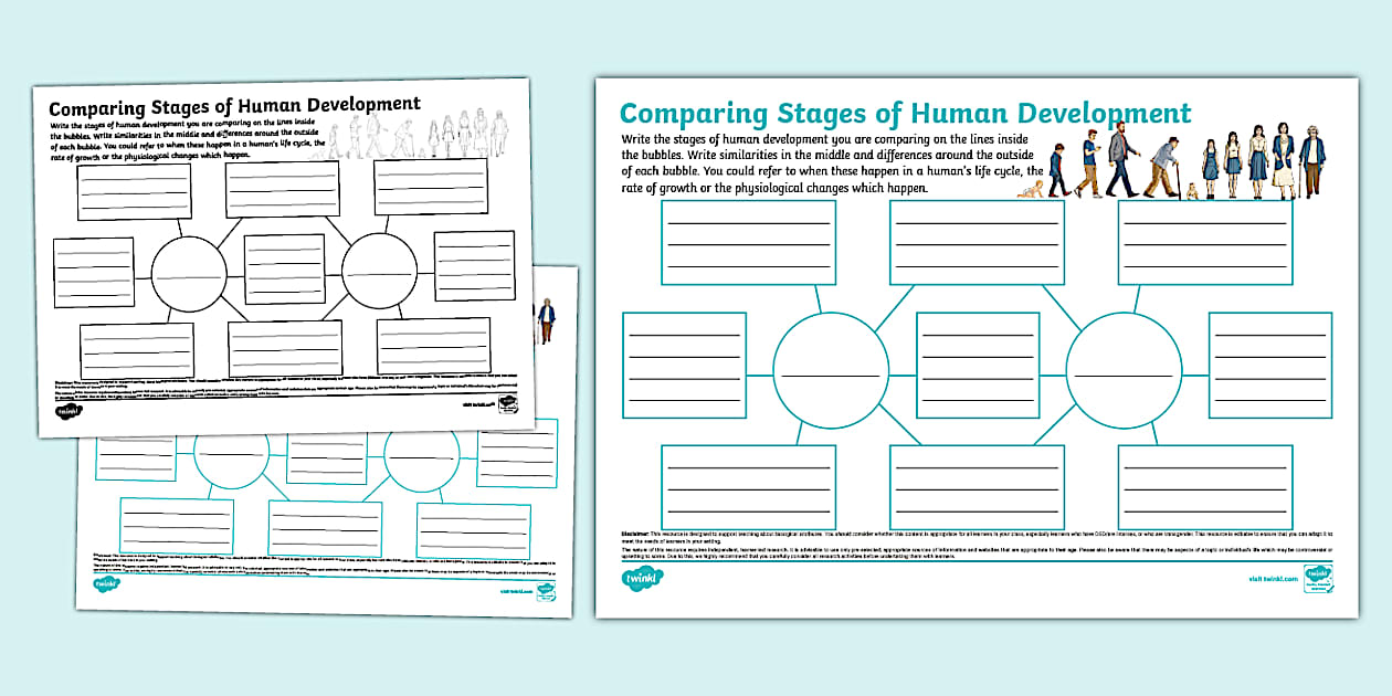 Comparing Stages of Human Development Mind Map - Twinkl