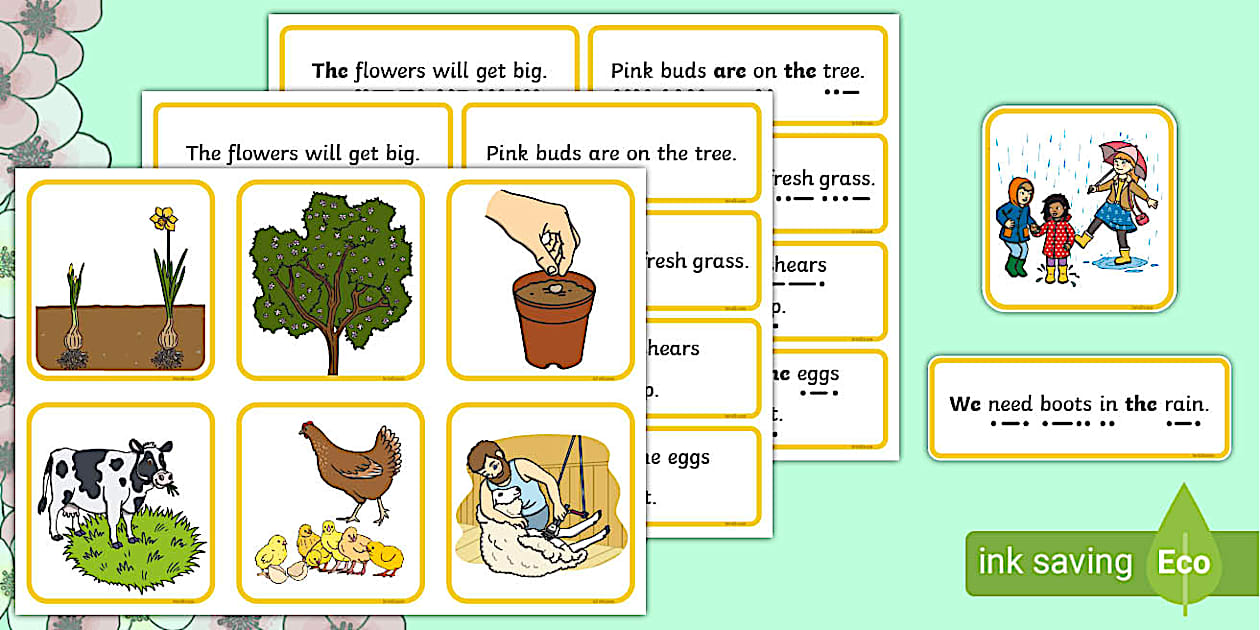 Spring Simple Sentence Matching Activity (teacher made)