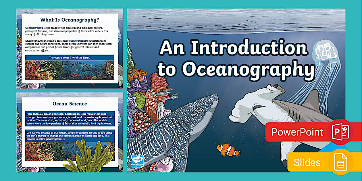 Oceanography PPT | World Ocean Day | Twinkl USA - Twinkl