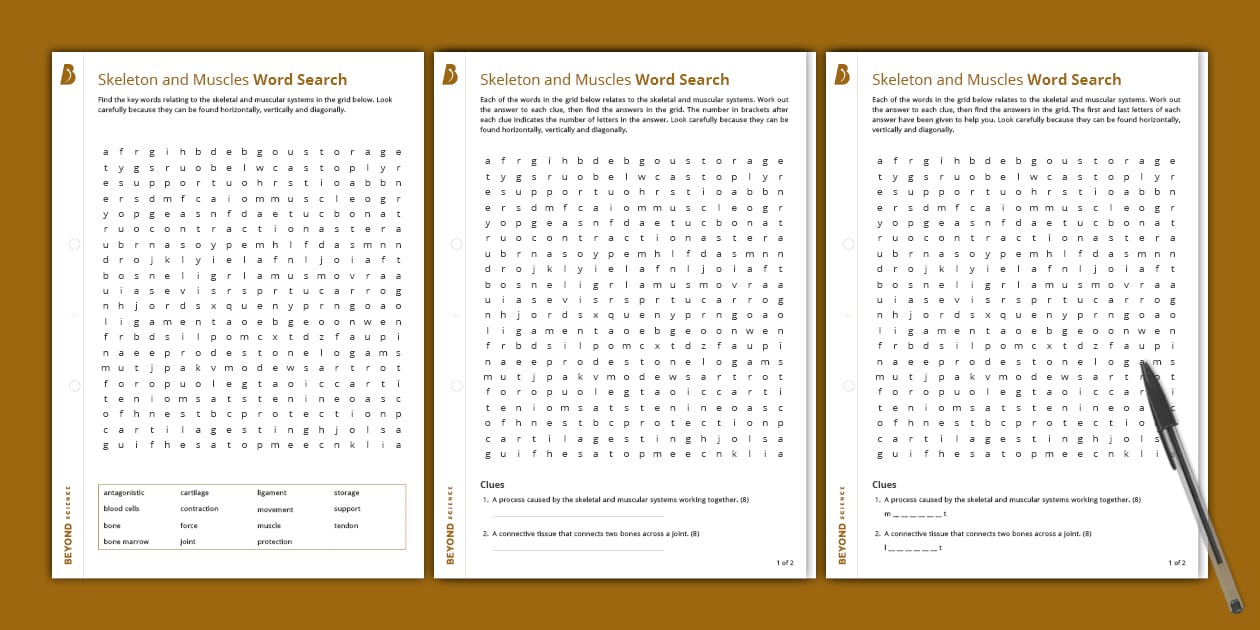 Skeleton and Muscles Word Search | KS3 | Beyond Science