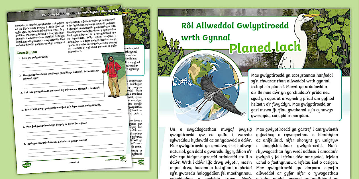 Beyond Cymru: Rôl Allweddol Gwlyptiroedd wrth Gynnal Planed Iach