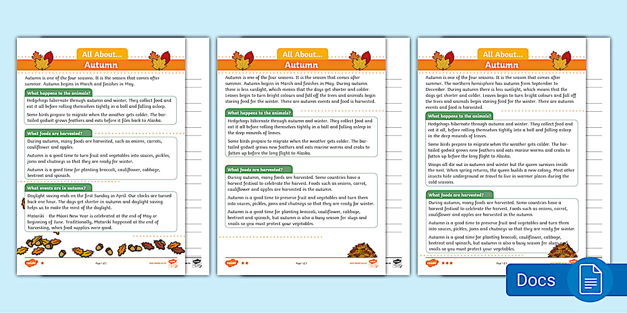 Autumn Differentiated Comprehension Worksheets - Twinkl