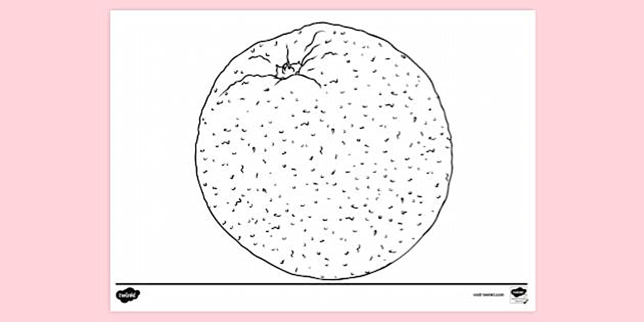 Orange Colouring Page | Colouring Sheets (Teacher-Made)