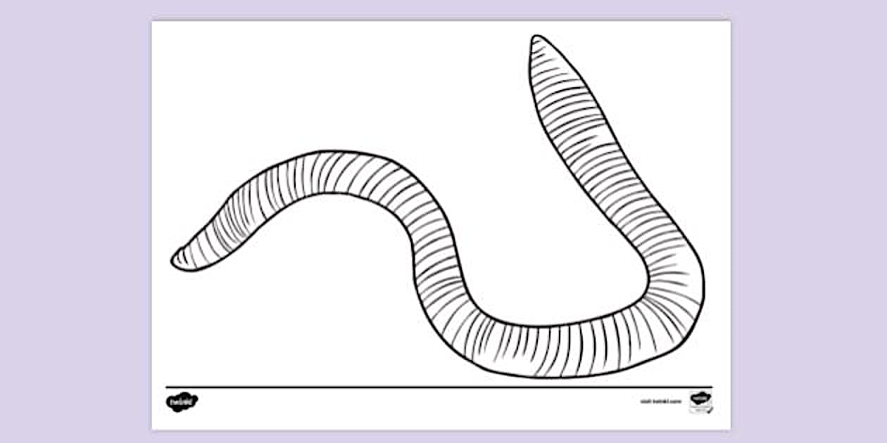 Worm Colouring Page for Preschoolers | Colouring Sheets