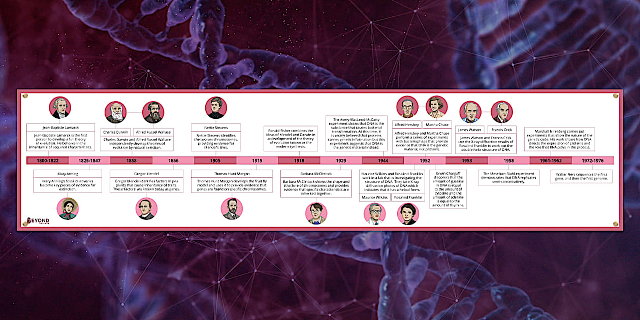 History of Genetics Display Banner | KS3 Biology | Beyond