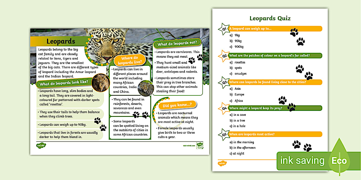 Leopard Fact File and Quiz - KS1 - Animals (teacher made)