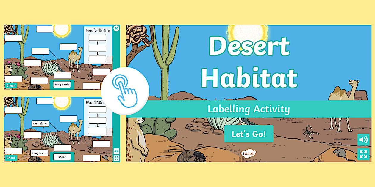 Desert Food Web and Habitat Interactive Labelling Activity
