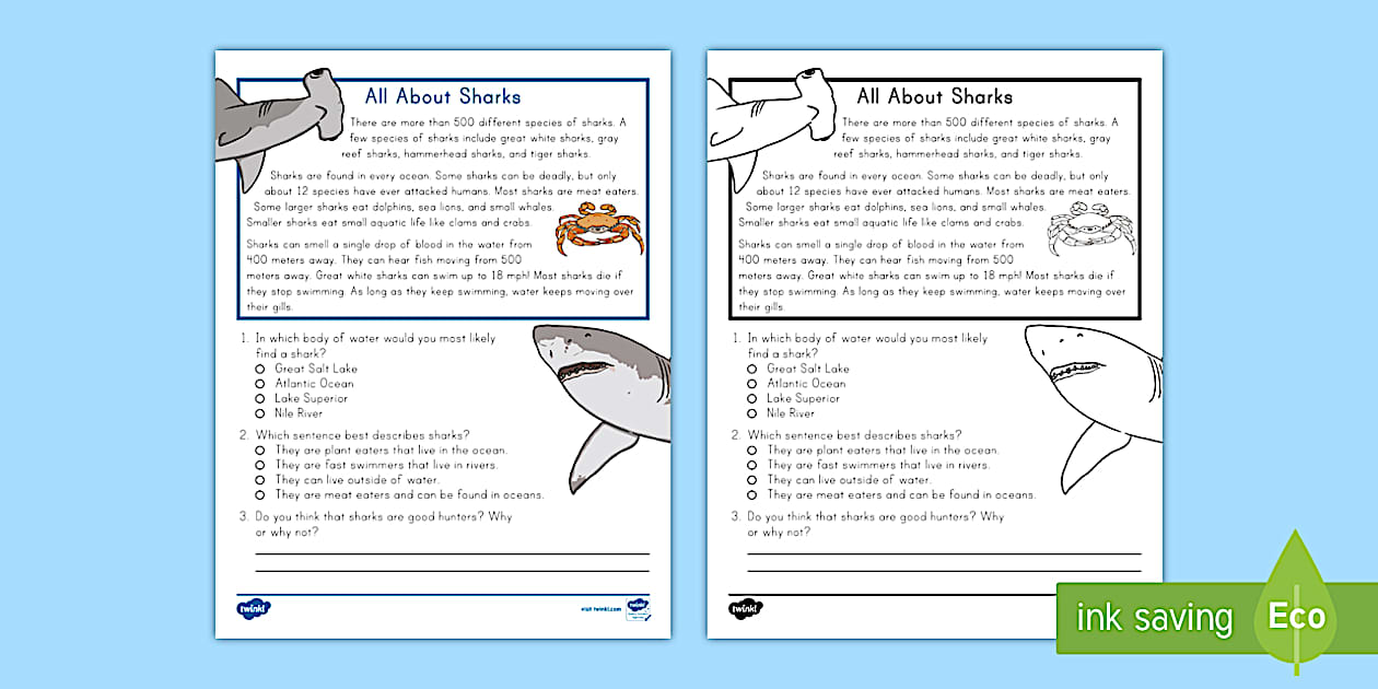 Shark Reading Comprehension | Shark Week | Twinkl USA