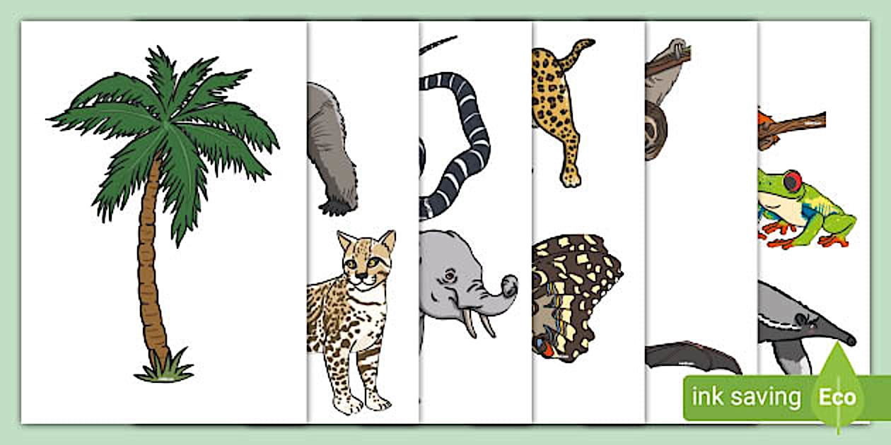 Jungle Themed Wall Decals (teacher made) - Twinkl