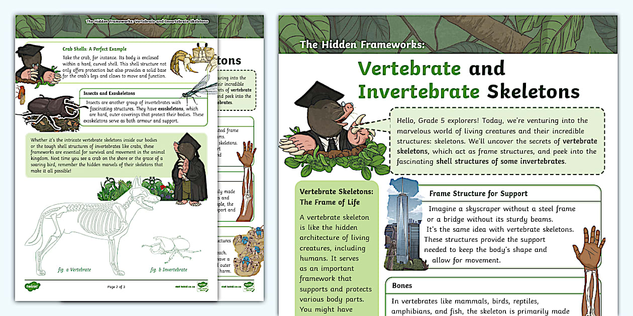 The Hidden Frameworks: Vertebrate and Invertebrate Skeletons
