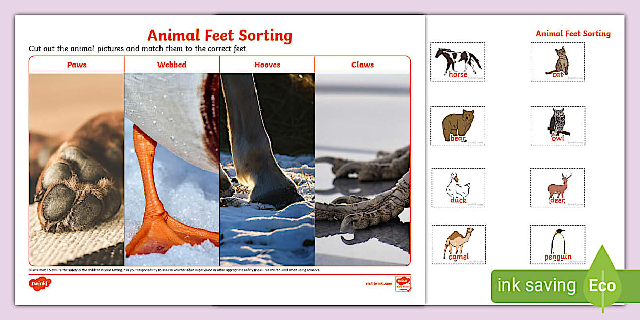 Animal Feet Sorting Activity - Twinkl - KS1 - Twinkl