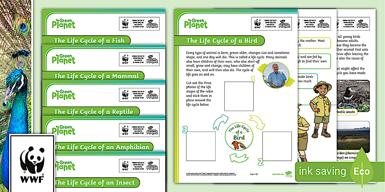 FREE! - WWF: Life Cycles Sequencing Activity Sheets [Ages 5-7]