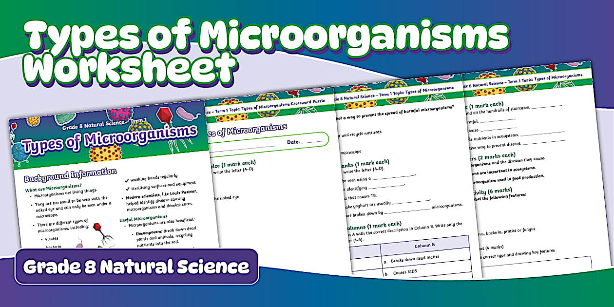 Grade 8 Natural Sciences Micro-Organisms Activity Sheet