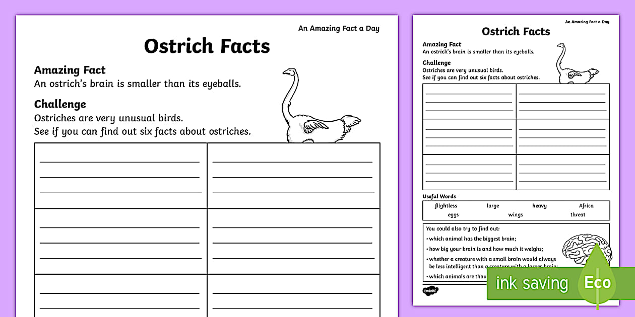 Ostrich Facts Worksheet / Worksheet (teacher made) - Twinkl