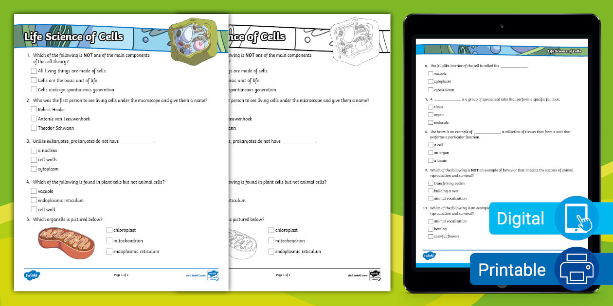 Sixth Grade NGSS Life Science of Cells Quiz (teacher made)