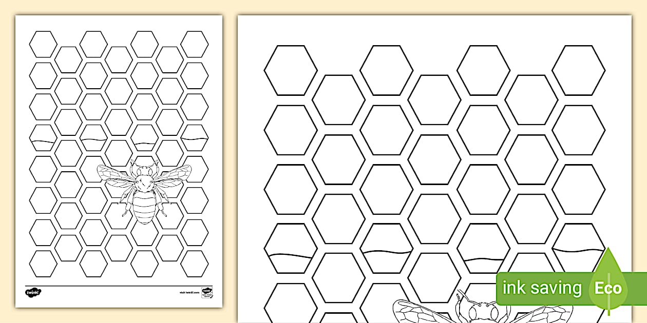 Honey Comb Colouring Sheet - Primary Resources - Twinkl