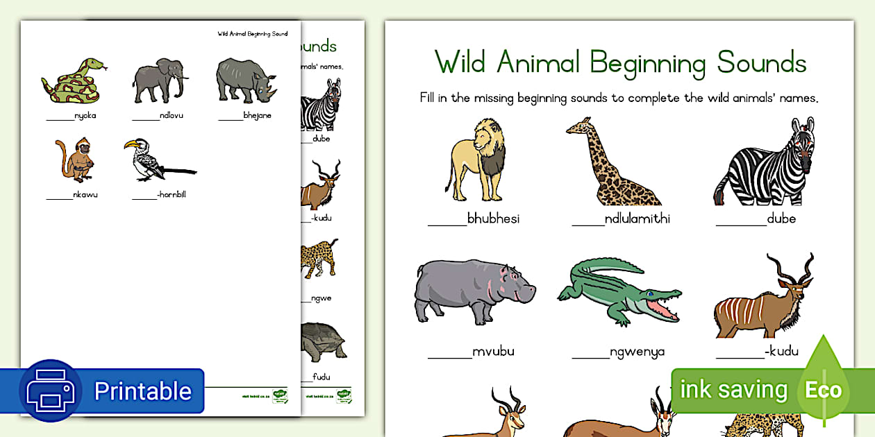 Izilwane zasendle bhala igama - Wild Animals Write the Word isiZulu