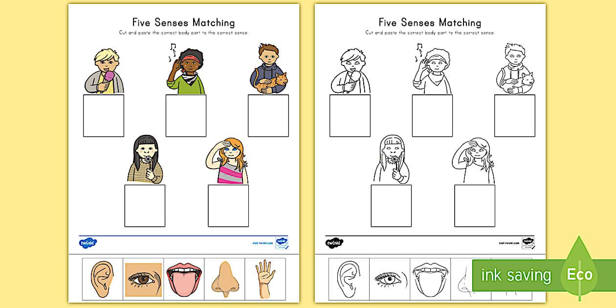 5 Senses Worksheet | Twinkl Teaching Resources - Twinkl
