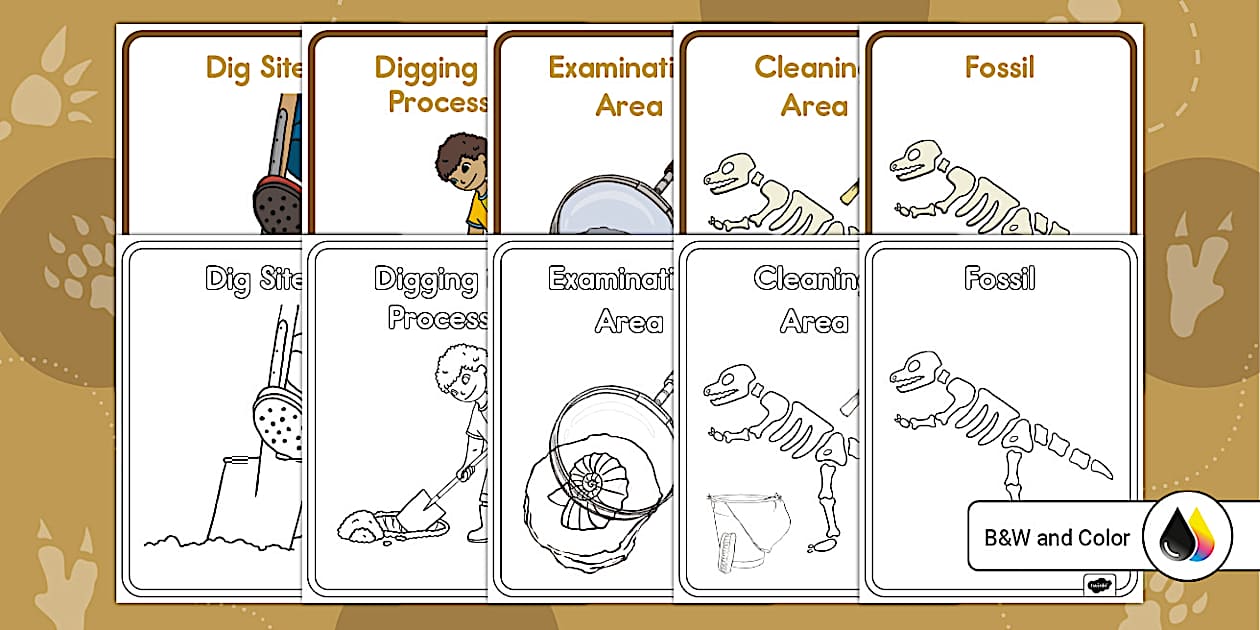 Fossil Hunter Dramatic Play Signs | PreK Resource | Twinkl