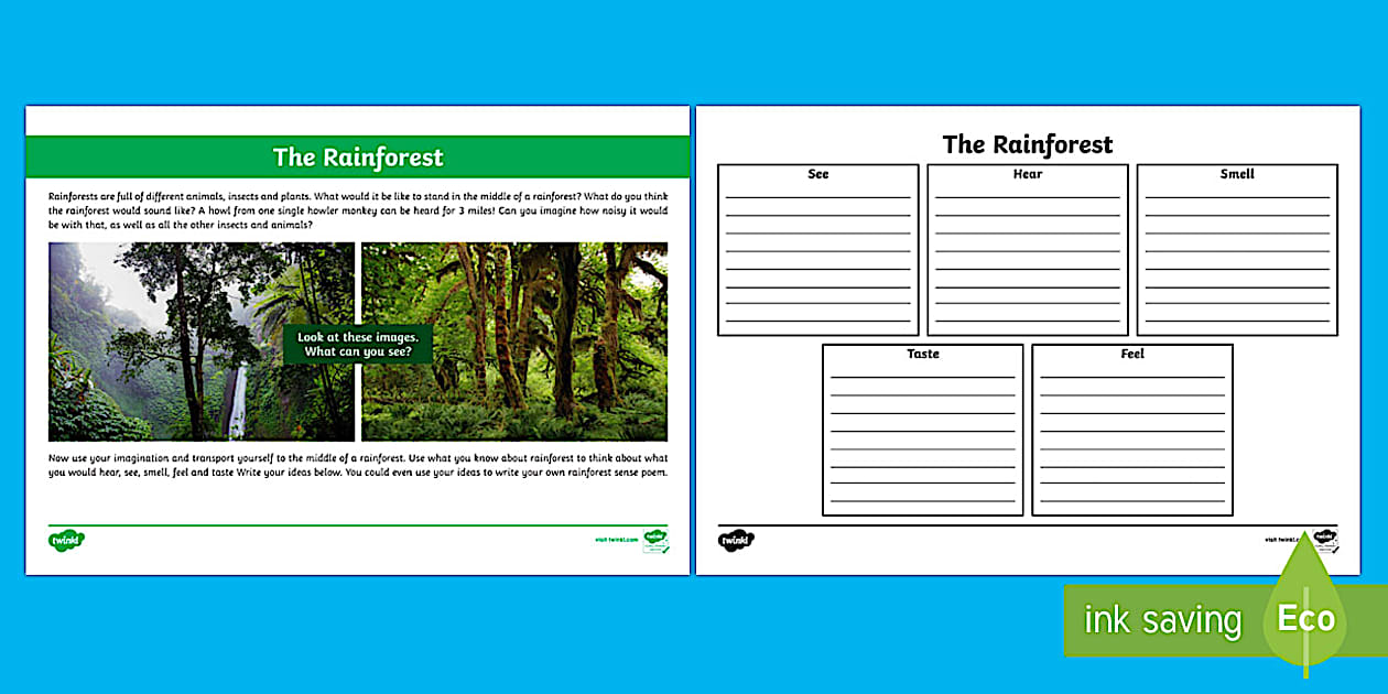 Rainforest Senses Worksheet / Worksheet (Teacher-Made)
