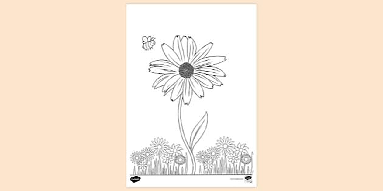 Free Flower Colouring Page | Colouring Sheets