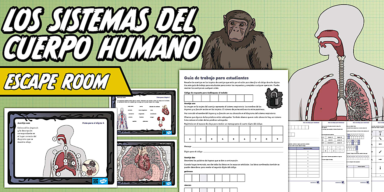 Escape Room: Sistemas orgánicos