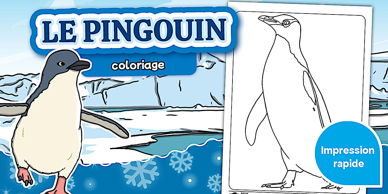 Coloriage : Le pingouin