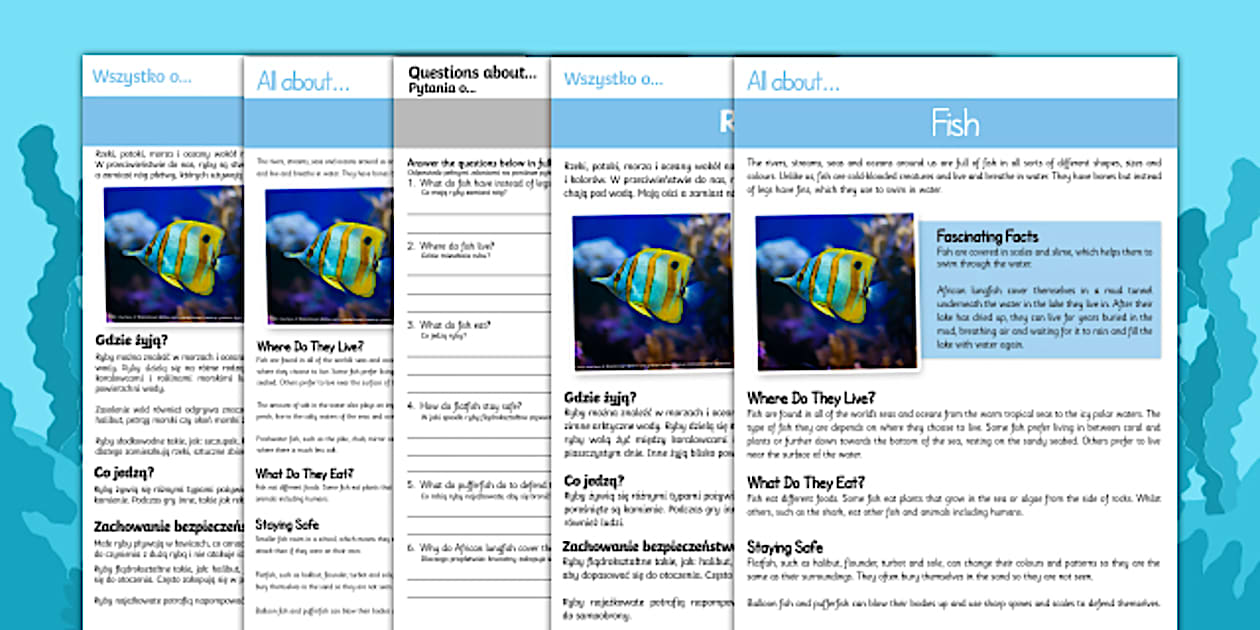 Lower Ability Fish Differentiated Comprehension Worksheets English/Polish