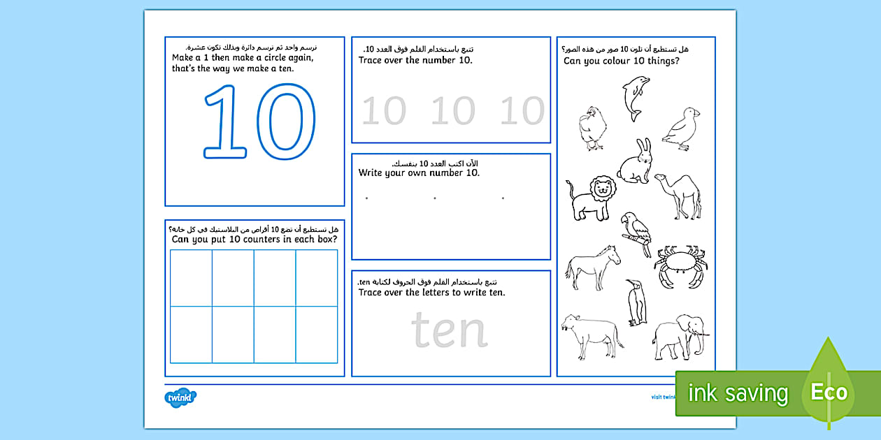 EYFS Number 10 Mat Activity Arabic/English - Twinkl