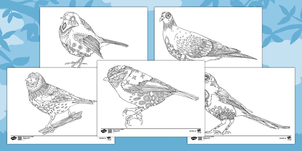 British Birds Mindfulness Colouring Pages - Twinkl