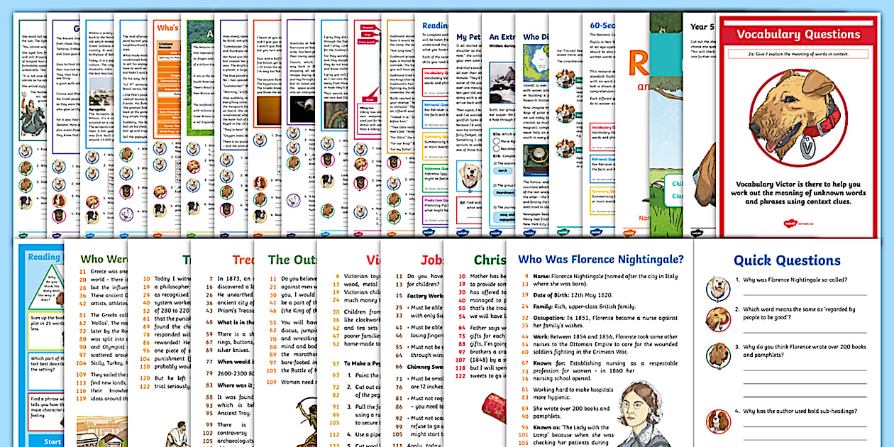 Reading Skills Pack - Reading Comprehension - Year 5