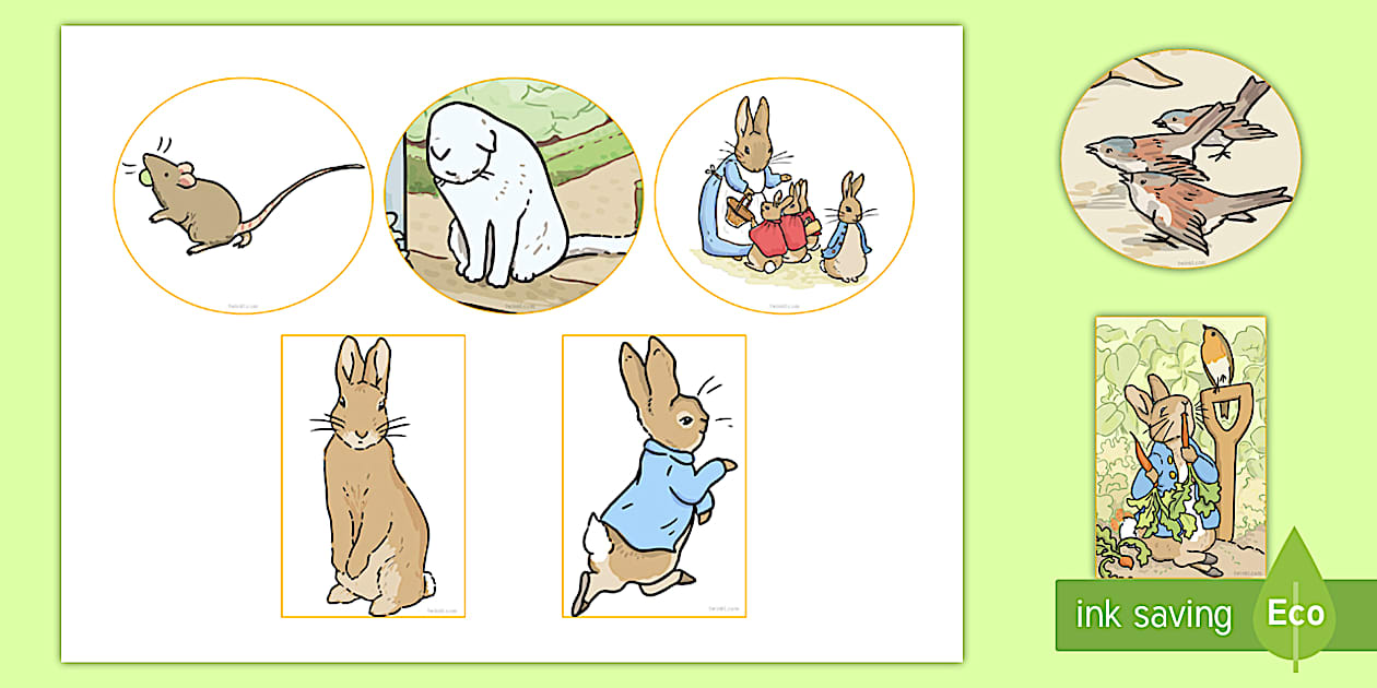 The Tale of Peter Rabbit Stick Puppets (teacher made)