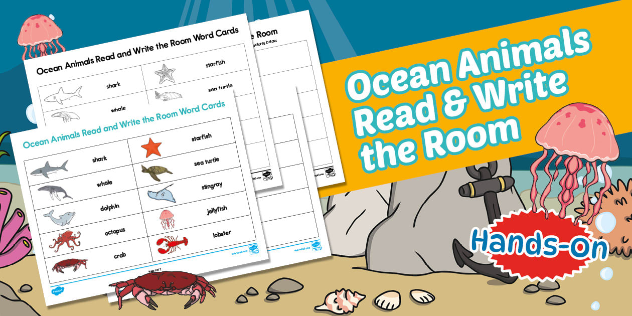 Ocean Animals Read and Write the Room Worksheet - Twinkl