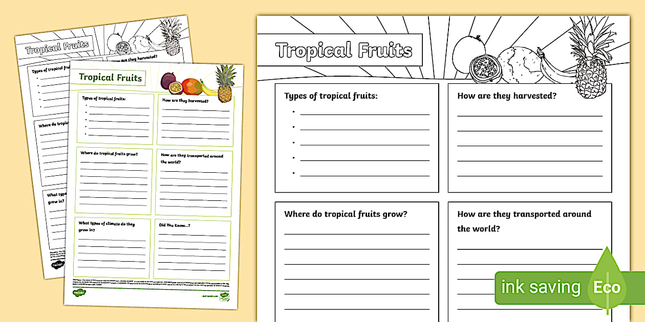 Tropical Fruits Fact File Template (Teacher-Made) - Twinkl