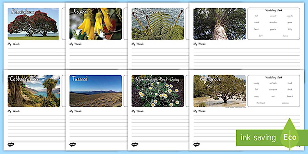 New Zealand Native Trees and Plants Writing Prompts Photo Pack