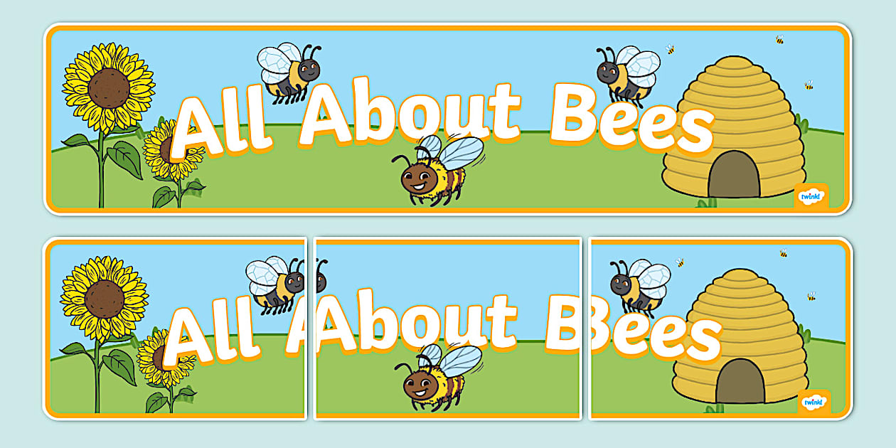 All About Bees Display Banner - Twinkl