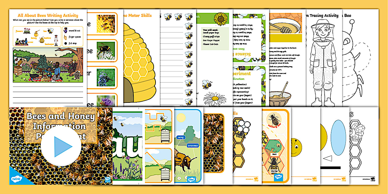 All About Bees Resource Pack (teacher made) - Twinkl