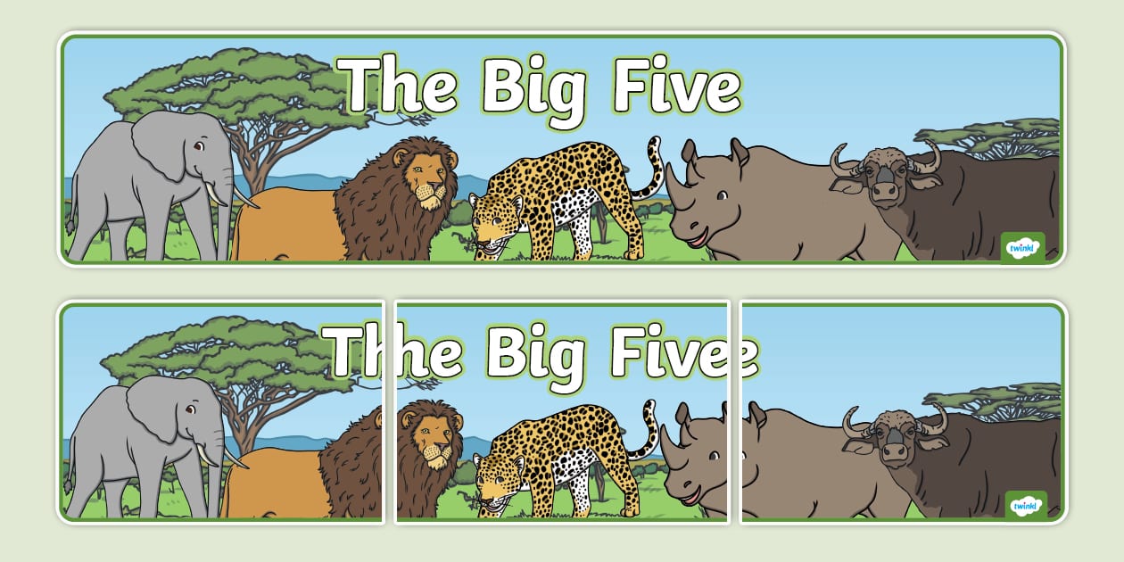 The Big Five Display Banner - Twinkl Banner (teacher made)
