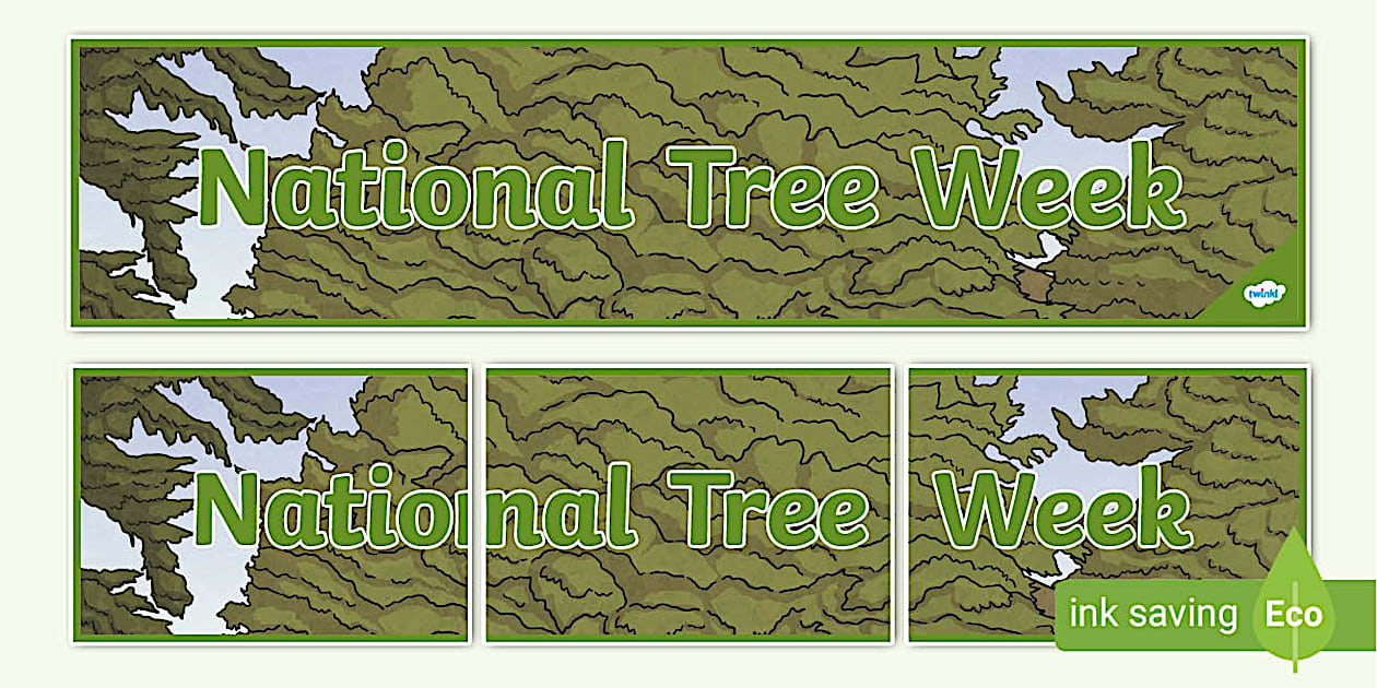 National Tree Week (Banner) (teacher made) - Twinkl