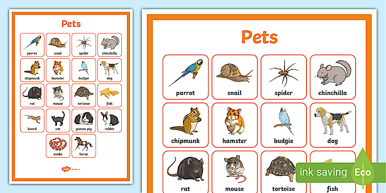 Pets Word Grid (teacher made) - Twinkl