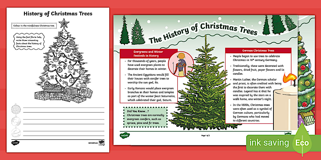 History of the Christmas Tree Fact File and Mindfulness Colouring Activity
