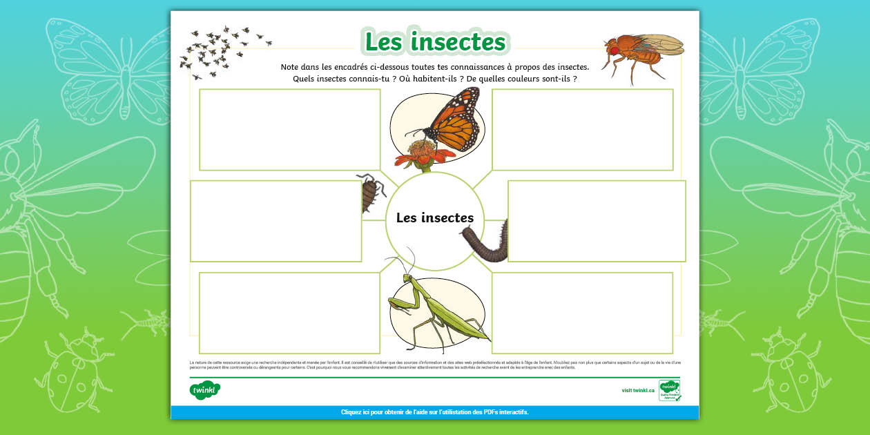 Carte mentale interactive : Les insectes