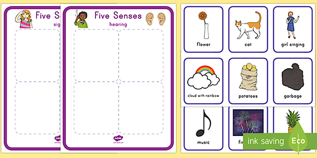 Editable Five Senses Matching Cards (teacher made) - Twinkl