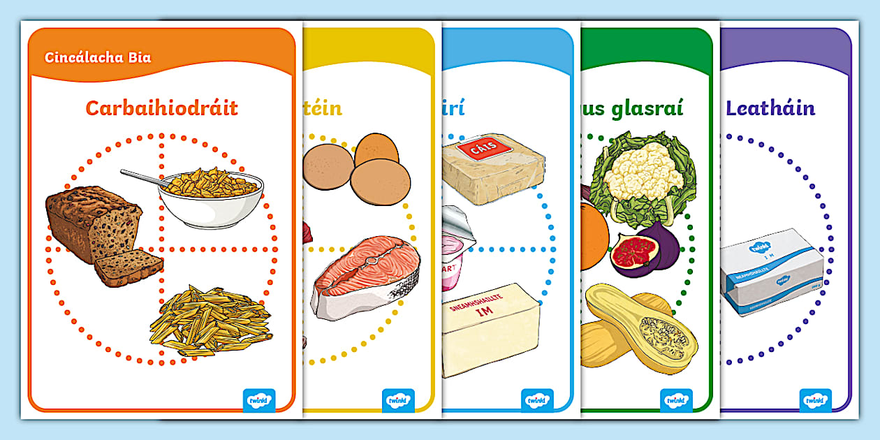 Cineálacha Bia Display Posters (teacher made) - Twinkl