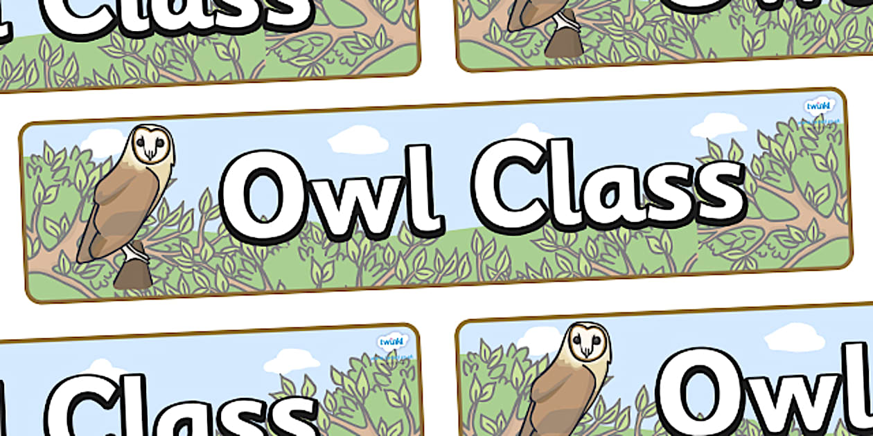 Owl Themed Classroom Display Banner - Twinkl