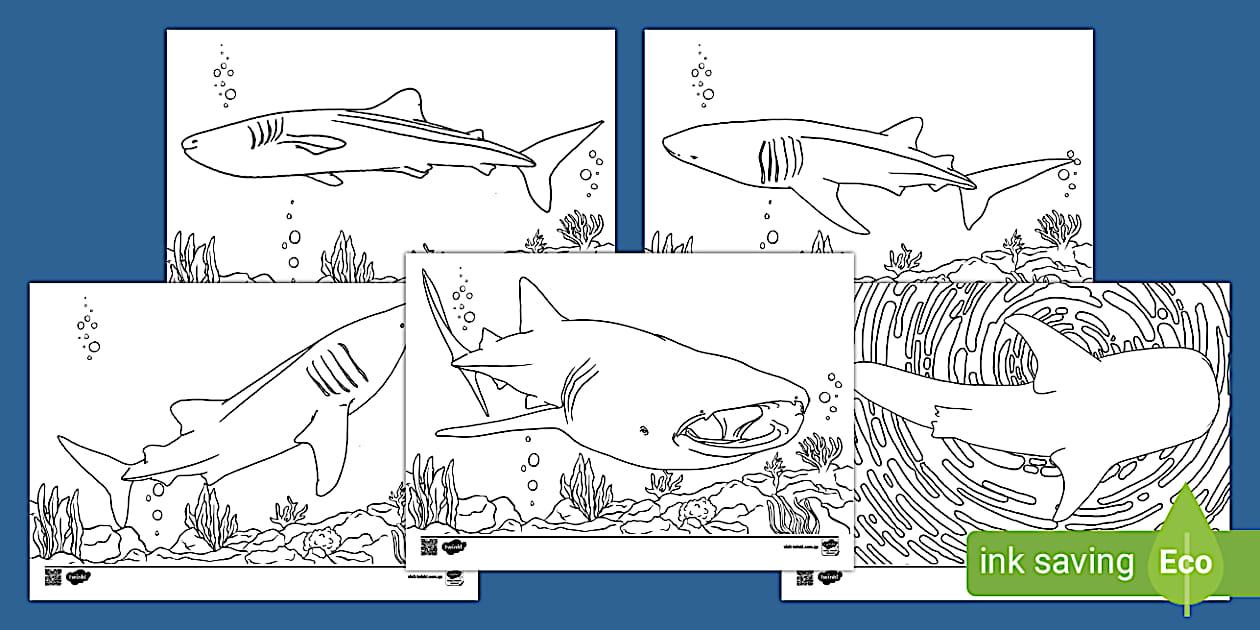 Whale Sharks of Qatar Colouring Pages (teacher made)
