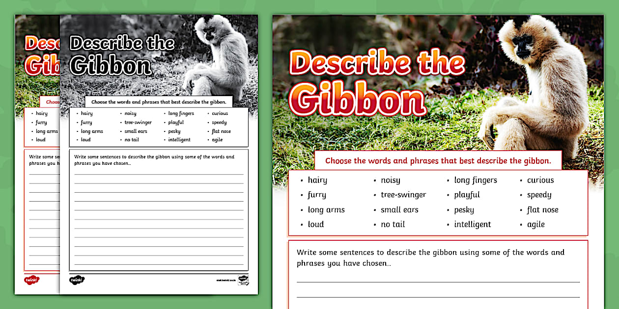 Describe the Gibbon Worksheet
