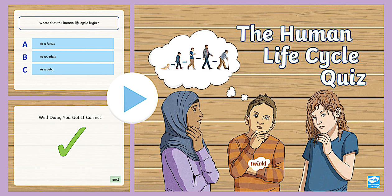 KS1 Human Life Cycle Quiz (teacher made) - Twinkl