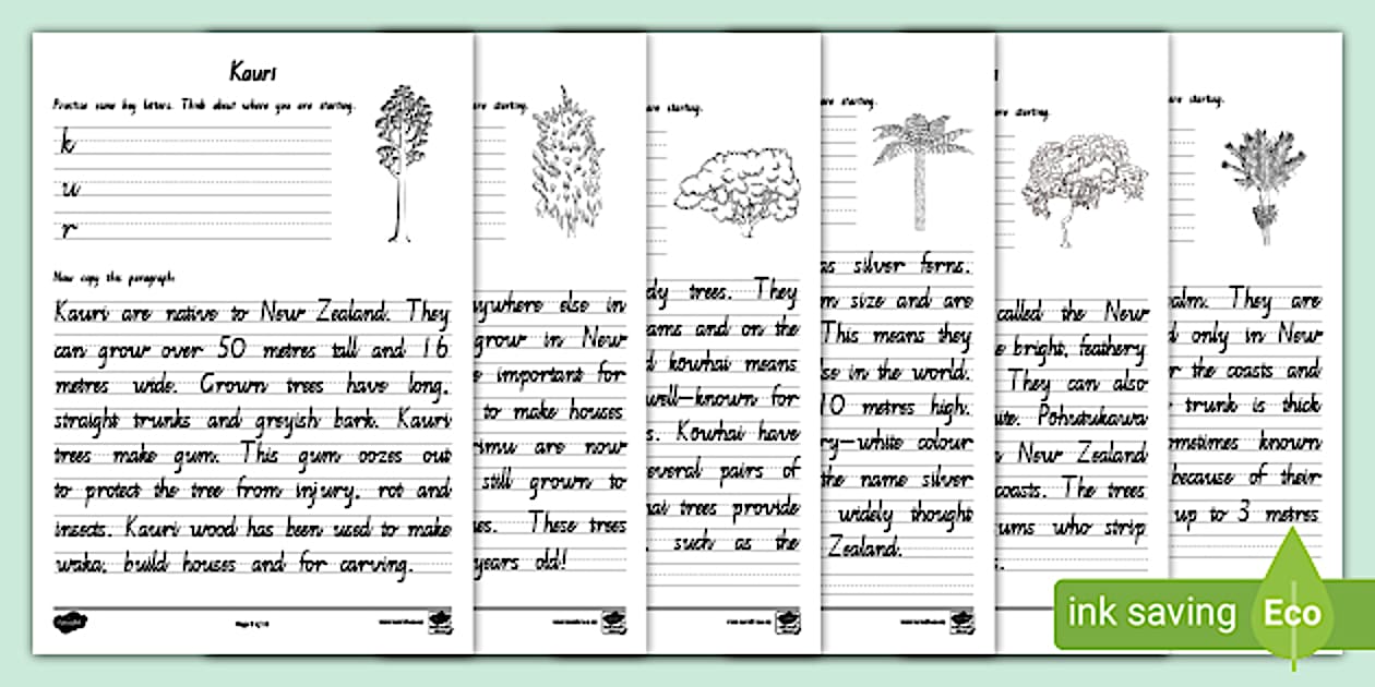Native New Zealand Trees Handwriting Worksheets - Twinkl